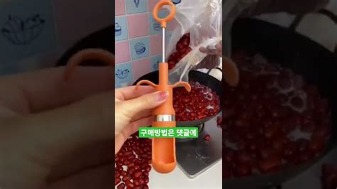 대추씨 빨리 빼는 방법 Youtube
