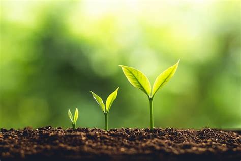 Successfully Scale Up Your Thriving Startup In NewsWeekly
