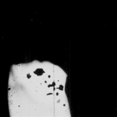 Tiktokshortfilm Rob Shead