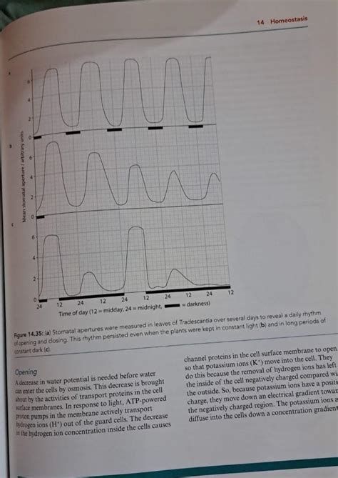 How To Explain The Graph Ralevel