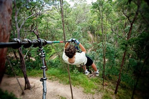 Tamborine Mountain TreeTop Challenge Triphobo