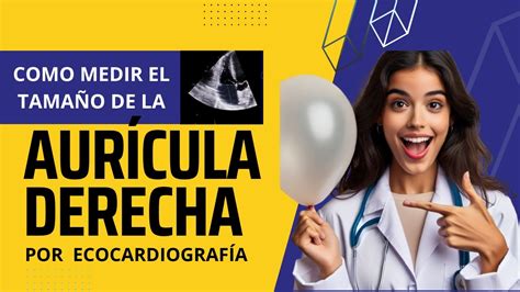 Como Medir El 📐tamaÑo De La AurÍcula Derecha Por EcocardiografÍa