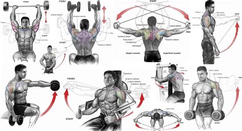 Dumbbell Shoulder Workout Dumbbell Shoulder Exercises Tricep Workouts
