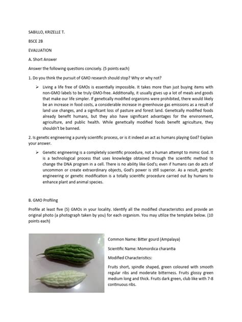 Bsce 2b Sabillo Assignment 5 1 Pdf Genetically Modified Organism Genetically Modified Food