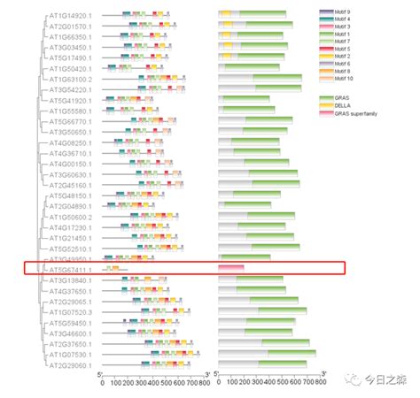 如果gff文件出错，如何矫正基因结构注释文件？ 知乎