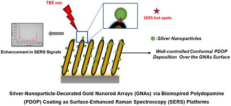 Coatings Free Full Text Silver Nanoparticle Decorated Gold Nanorod