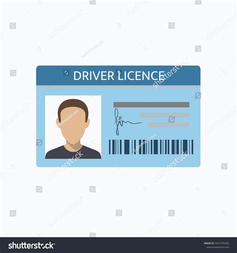 Driver License Document Isolated On White Stock Vector Royalty Free