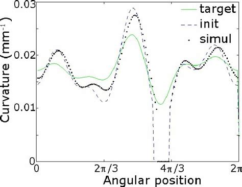 The Curvature According To The Angular Position At 190 Mm From De Ankle Download Scientific