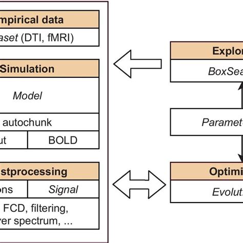 Construction Of A Whole Brain Model Structural Connectivity From Dti