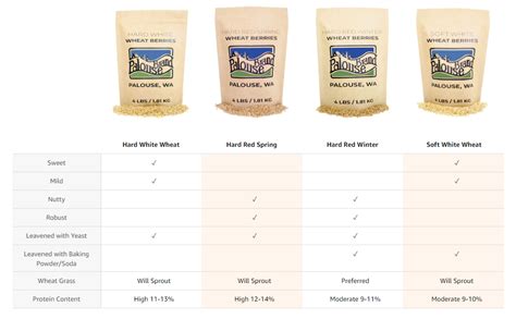 All About Wheat Berries