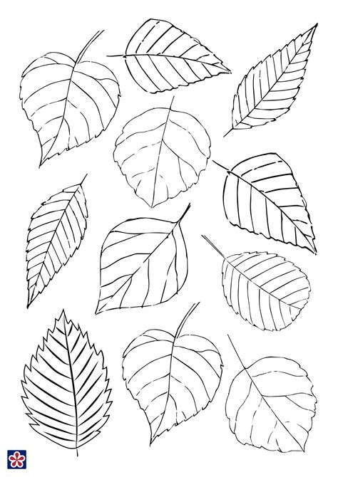 Printable Fall Craft Templates Creative Printable
