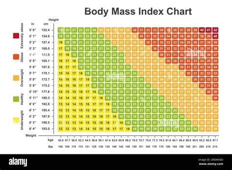 Printable Bmi Chart Printable Chart Template