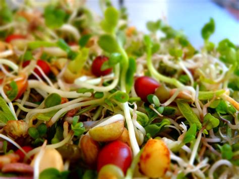 Dietary Assessment Dietary Analysis And Nutrients Intakes R