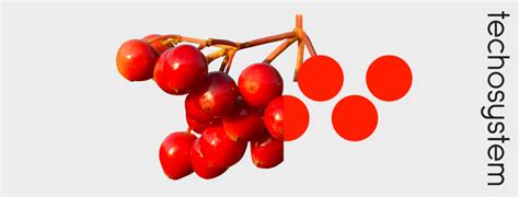 Innovator Innovator Added A New Photo