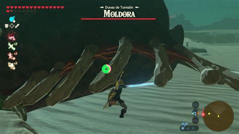 Moldora Dunas De Turmalin Zelda Botw Youtube