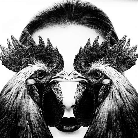 Power Struggle Stefan Eisele