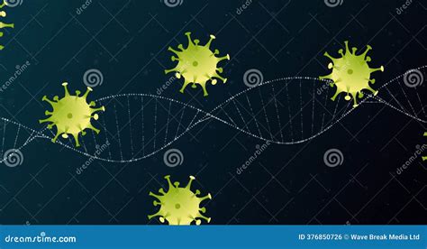 Scientific Illustration Of Haemophilus Influenzae Under The Microscope