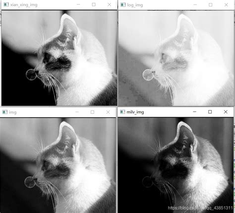 机器视觉实验灰度图像分段、指数、幂律变换灰度图像指数变换 Csdn博客