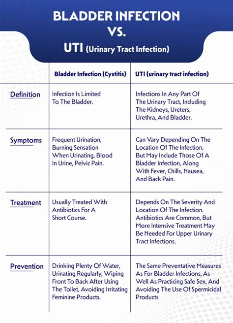 Bladder Infection Pain Cystitis Symptoms Causes And Treatment Bupa