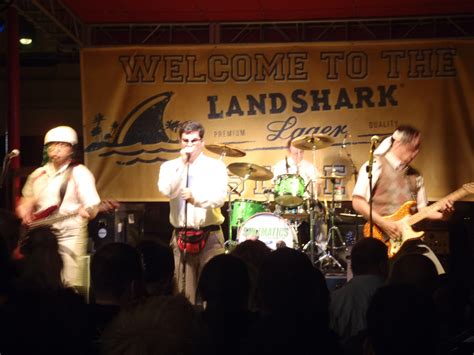 Navy Pier Concert Photo