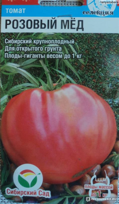 Семена томата Сибирский сад "Розовый мёд" - «Томат Розовый мед - самый ...