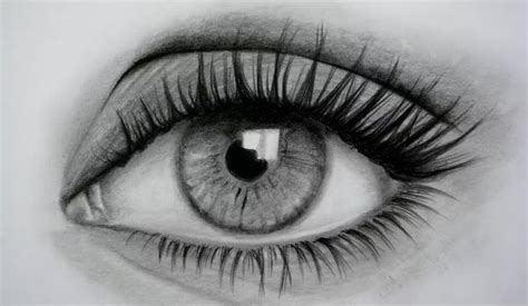 ️herramientas De Dibujo Para Trazos Profesionales 2024 Ojos A Lapiz