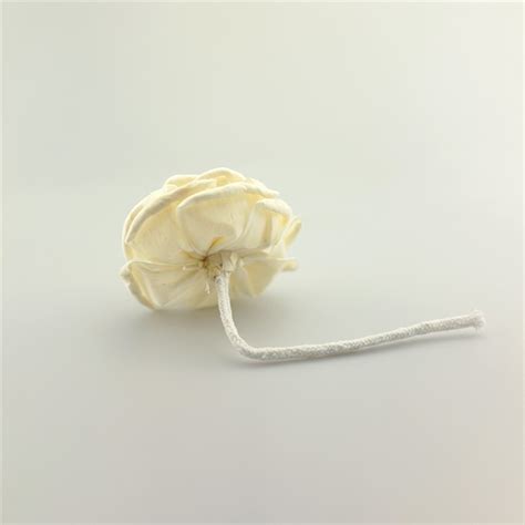 China Sola Flowers Diffuser Manufacturers Suppliers Factory Direct Wholesale Huihua