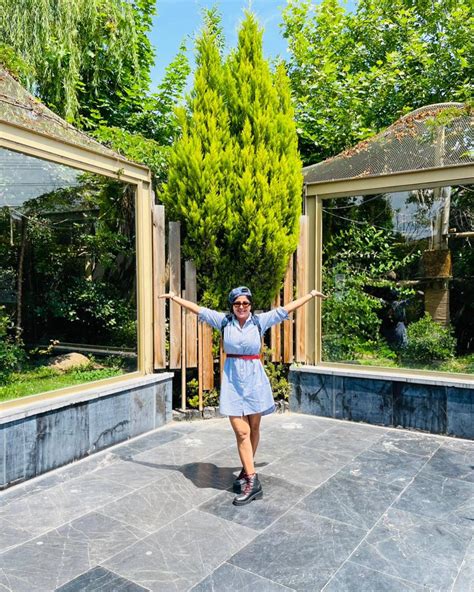 Stylish Posses Of Sree Rapaka Glam Actress