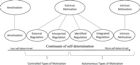 Representation Of Motivation Types On The Self Determination Continuum Download Scientific