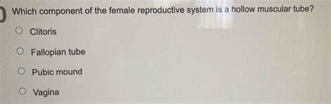 Solved Which Component Of The Female Reproductive System Is A Hollow