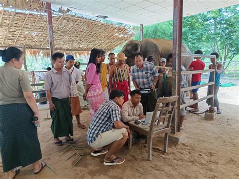 ဝင်္ဂဘော် ဆင်ဆရာဝန်များမှ ဓာတ်မှန်အဖြေအား စစ်ဆေးနေမှုမှတ်တမ်း Facebook