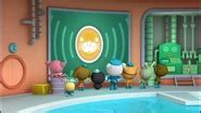 The Harbour Sealgallery Octonauts Wiki Fandom