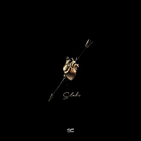 Slahi Youtube Music