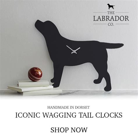 Black Cat Swinging Wall Clock Cat Clock Cat Clock With Moving Tail