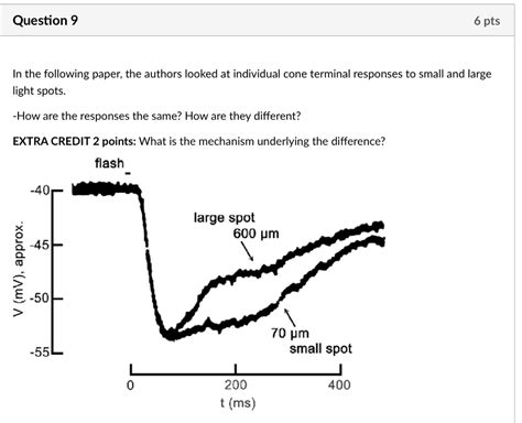 Question 9 6 Pts In The Following Paper The Authors