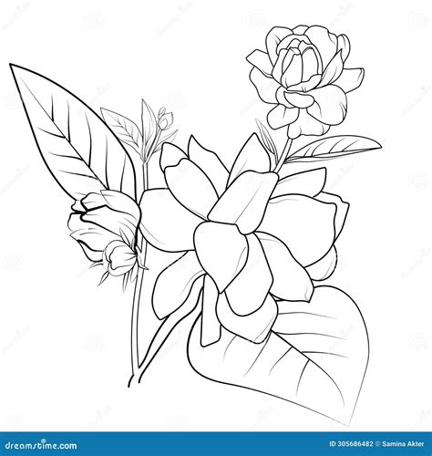 Easy Jasmine Flower Sketch Jasmine Flower Drawing Tattoo Jasmine