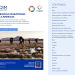 Datos Y Tendencias Migratorias En La Región Onu Migración Americas