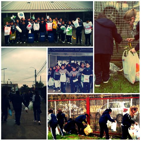 Cuarto Basico Colegio Paula Montal San Clemente