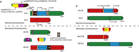 Cryptic Segment From The Insertion Was Not Present In The Insertion Download Scientific Diagram