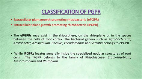 Plant Growth Promoting Rhizobacteria Pptx