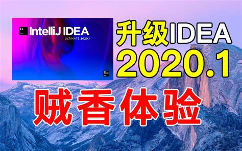 Java程序员开发利器IDEA 升级体验配合Java 真香 Java软件视频教程 哔哩哔哩 bilibili