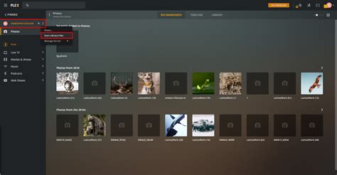 Installing Plex Media Server Amber Support
