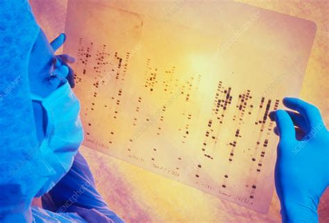 Dna Sequencing Stock Image G210 0792 Science Photo Library