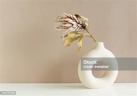 베이지색 테이블에 현대 세라믹 꽃병에 있는 마른 프로테아 꽃 공간을 복사합니다 최소한의 스칸디나비아 중립 트렌디 한 색상 인테리어 장식 0명에 대한 스톡 사진 및 기타