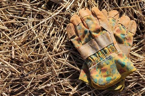 Homesteading Tools And Supplies 109 Items To Have