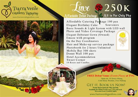 Affordable Debut Packages Affordable Wedding Debut Birthday Event Packages Tvg