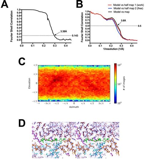 Figures And Data In Fidaxomicin Jams Mycobacterium Tuberculosis Rna