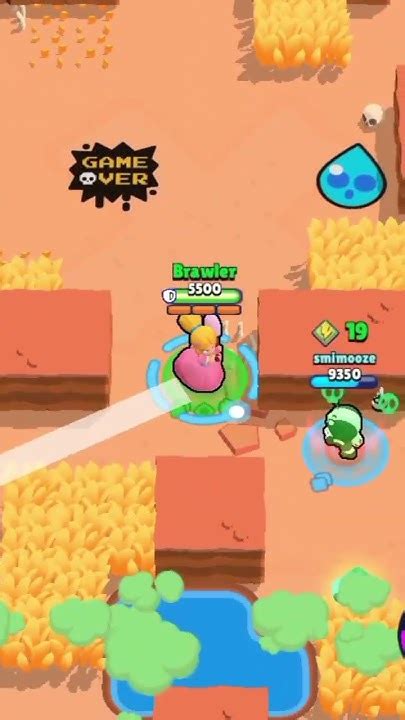 19 Cub Bea Is Wild Youtube