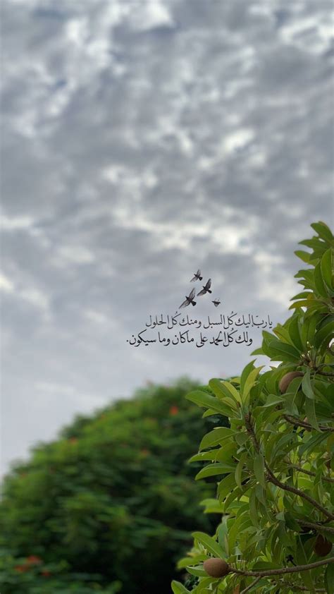 Amany Herzalla Posted On Linkedin