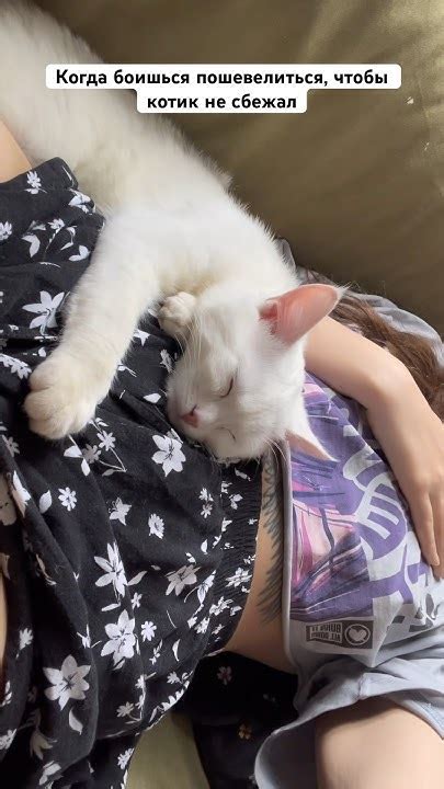 Нежнятина, мр #котик #кот #cat - YouTube